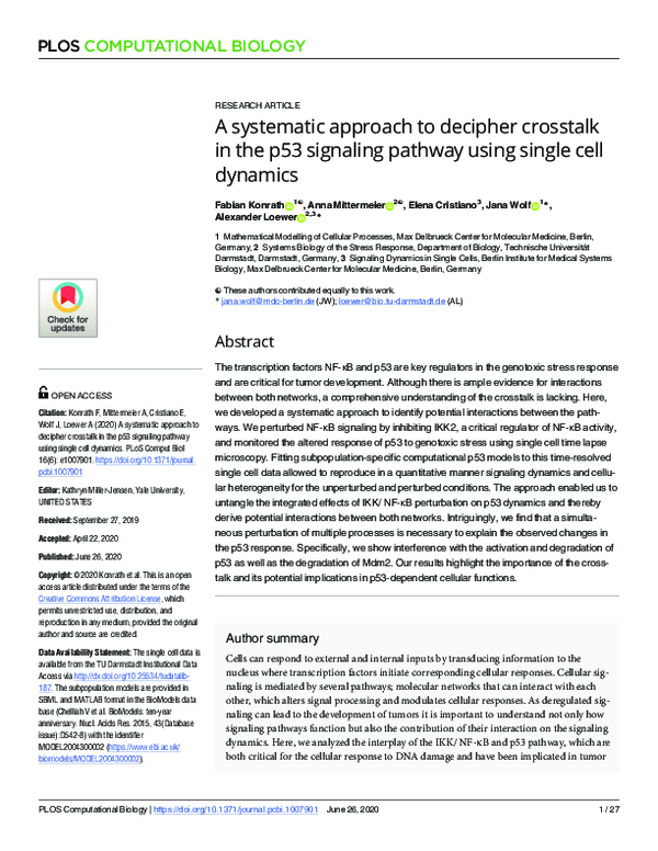 (PDF) A systematic approach to decipher crosstalk in the p53 signaling pathway using single cell ...