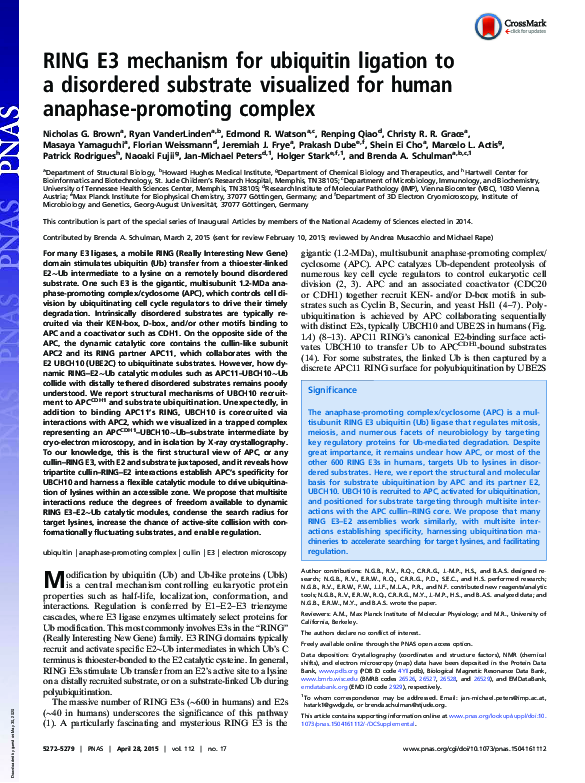 (PDF) RING E3 mechanism for ubiquitin ligation to a disordered ...