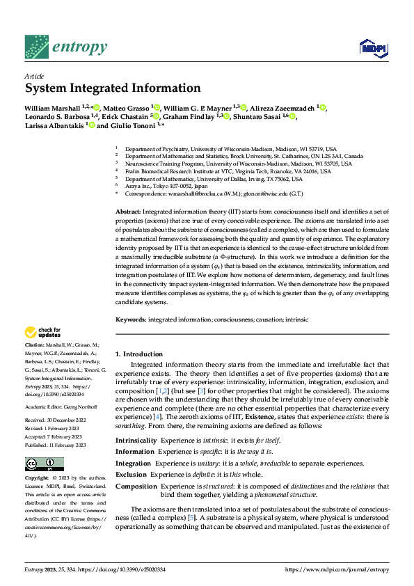 (PDF) System Integrated Information