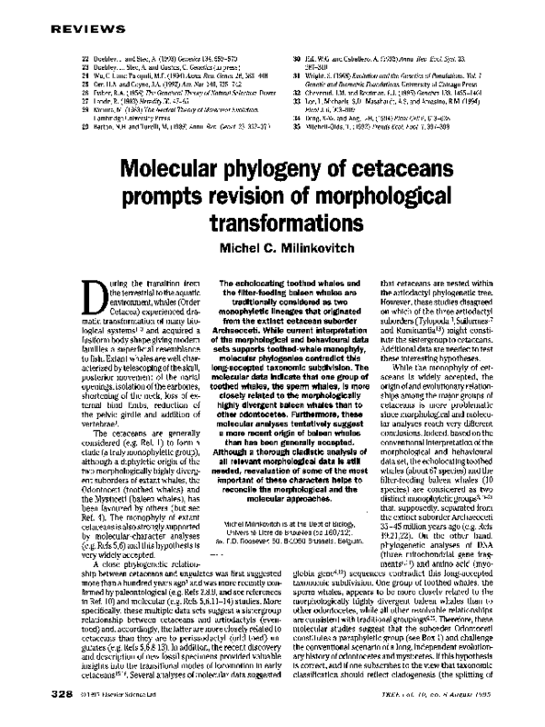 (PDF) Molecular phylogeny of cetaceans prompts revision of morphological transformations
