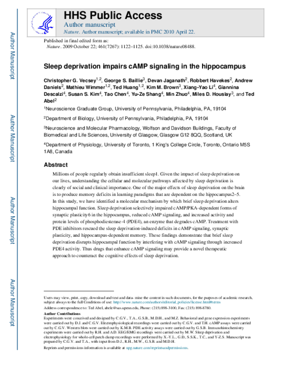 (PDF) Sleep deprivation impairs cAMP signalling in the hippocampus