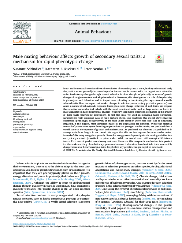 (PDF) Male mating behaviour affects growth of secondary sexual traits ...