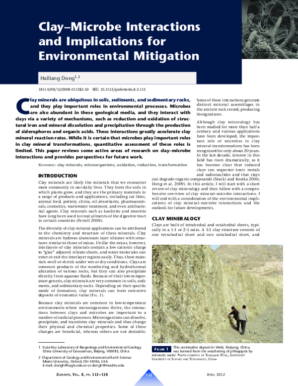 (PDF) Clay-Microbe Interactions and Implications for Environmental ...