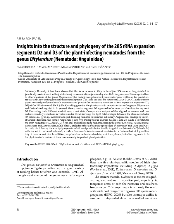 (PDF) Insights into the structure and phylogeny of the 28S rRNA ...