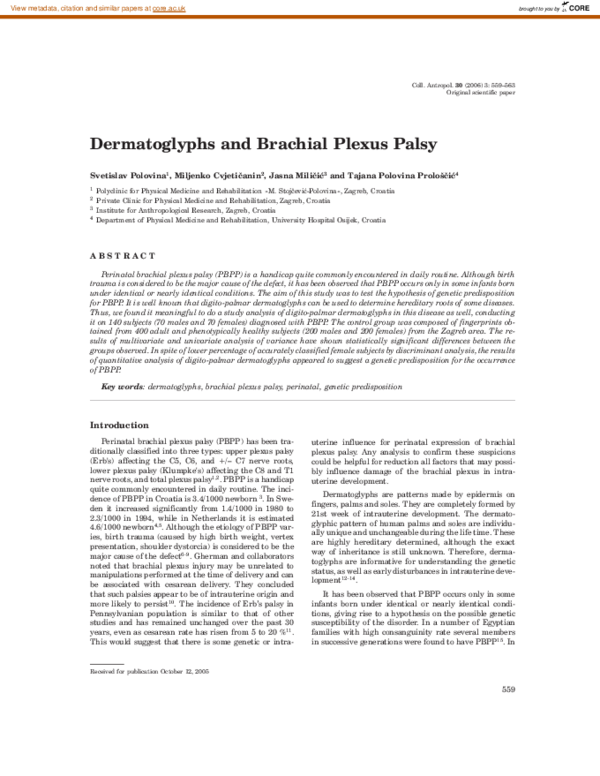 (PDF) Dermatoglyphs and brachial plexus palsy