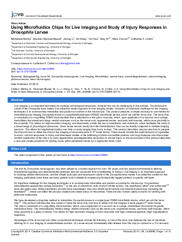 (PDF) Using microfluidics chips for live imaging and study of injury ...