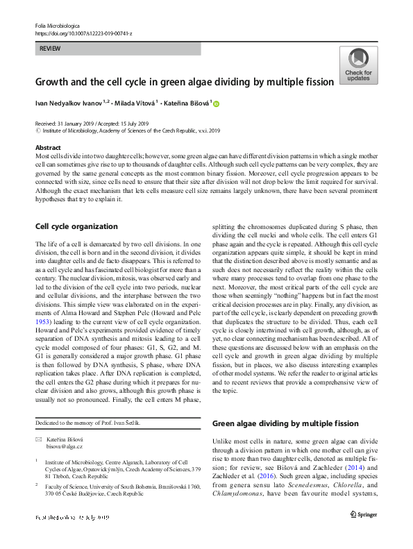 (PDF) Growth and the cell cycle in green algae dividing by multiple fission