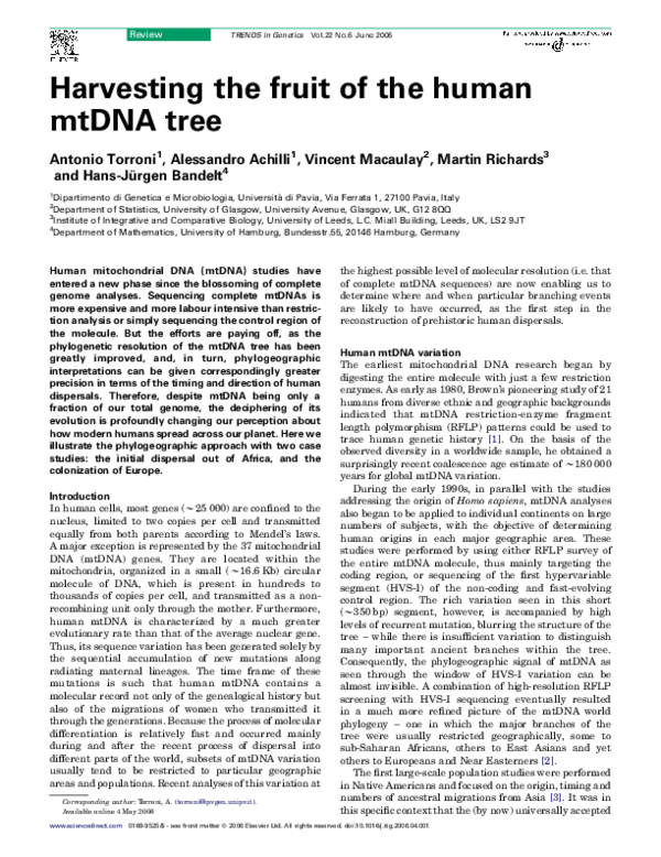 (PDF) Harvesting the fruit of the human mtDNA tree