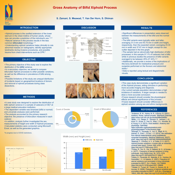 (PDF) Gross Anatomy of Bifid Xiphoid Process