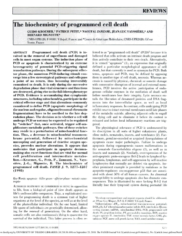 (PDF) The biochemistry of programmed cell death