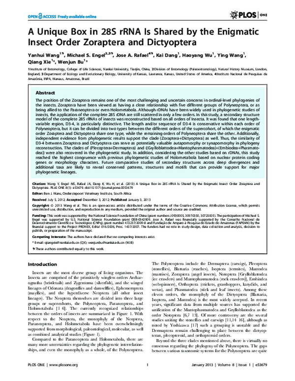 (PDF) A Unique Box in 28S rRNA Is Shared by the Enigmatic Insect Order ...