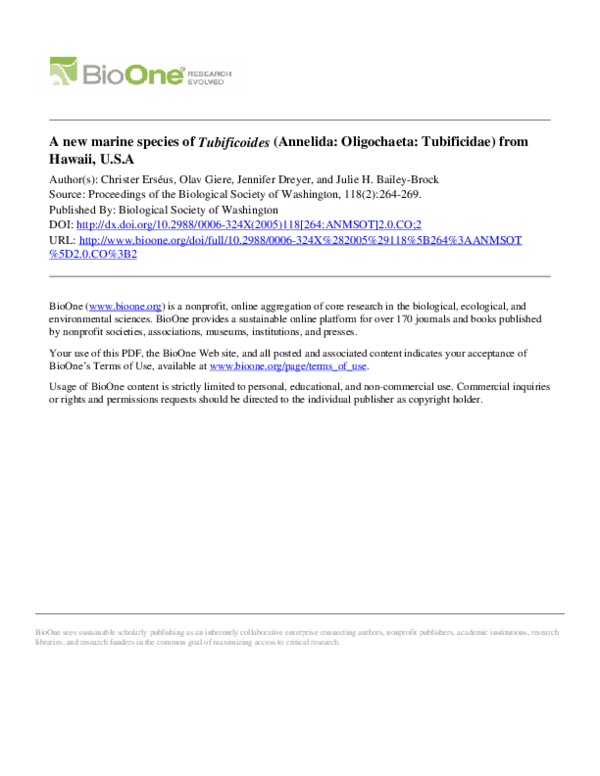 (PDF) A new marine species of Tubificoides (Annelida: Oligochaeta ...