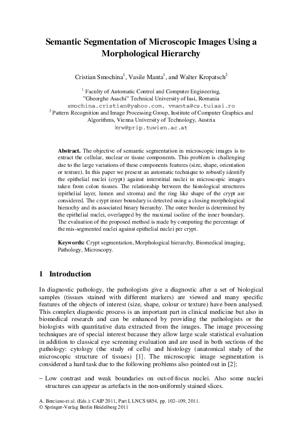 (PDF) Semantic Segmentation of Microscopic Images Using a Morphological Hierarchy