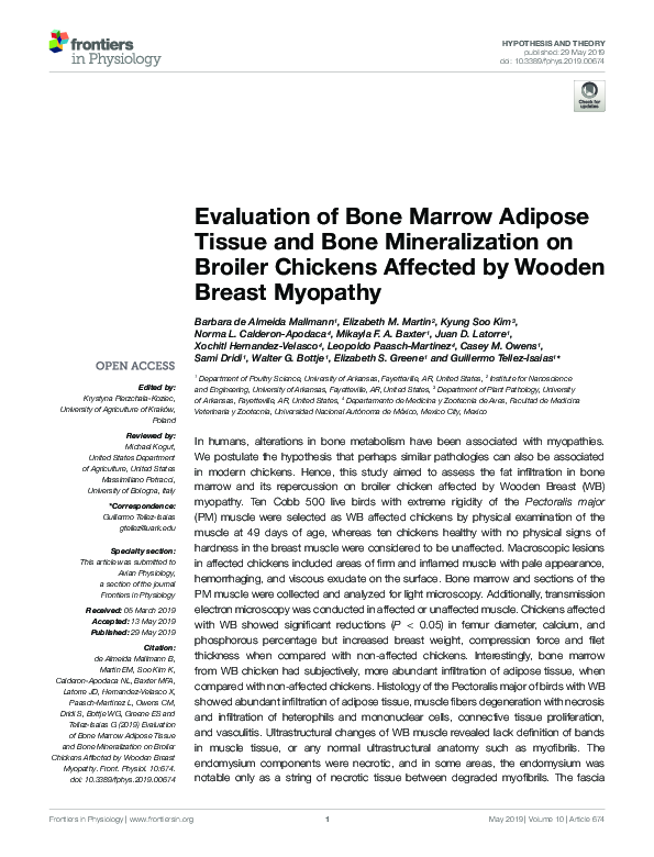 (PDF) Evaluation of Bone Marrow Adipose Tissue and Bone Mineralization ...