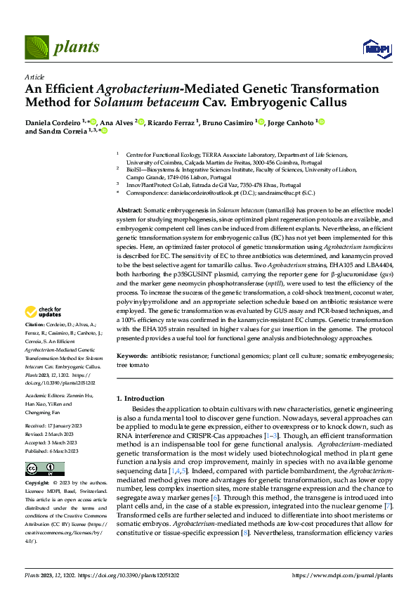 (PDF) An Efficient Agrobacterium-Mediated Genetic Transformation Method ...