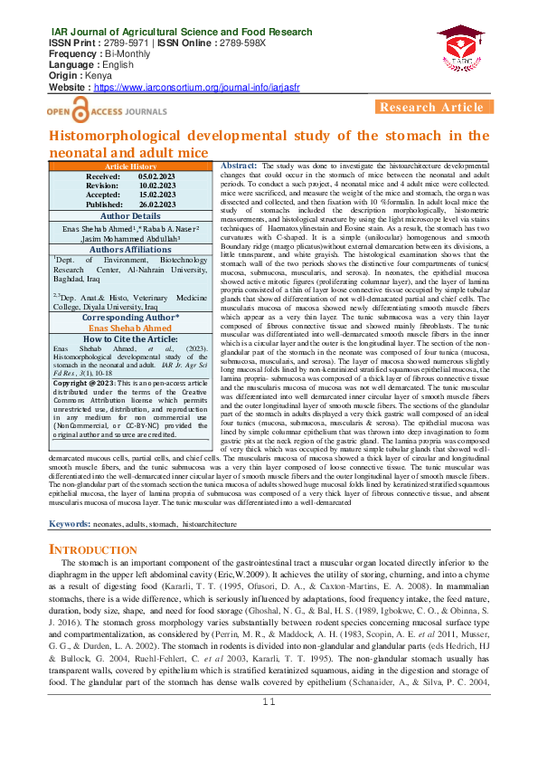 (PDF) Histomorphological developmental study of the stomach in the ...