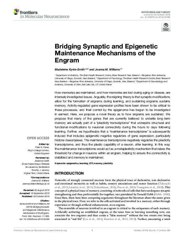 (PDF) Bridging Synaptic and Epigenetic Maintenance Mechanisms of the ...