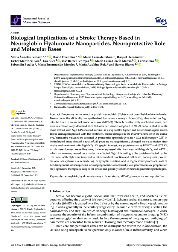 (PDF) Biological Implications of a Stroke Therapy Based in Neuroglobin Hyaluronate Nanoparticles ...