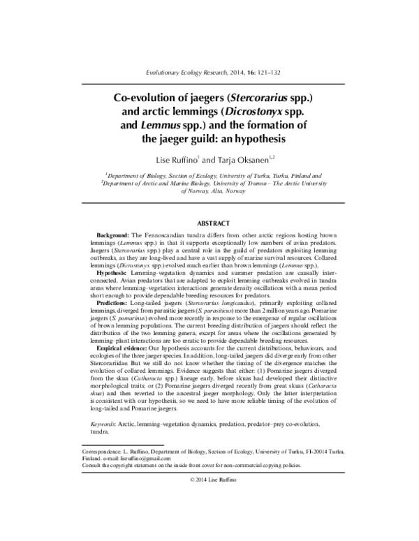 (PDF) Co-evolution of jaegers (Stercorarius spp.) and arctic lemmings ...