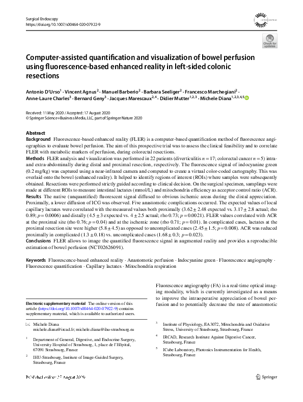 (PDF) Computer-assisted quantification and visualization of bowel ...