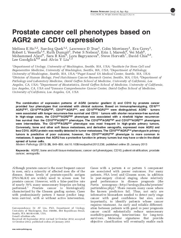 (PDF) Prostate cancer cell phenotypes based on AGR2 and CD10 expression
