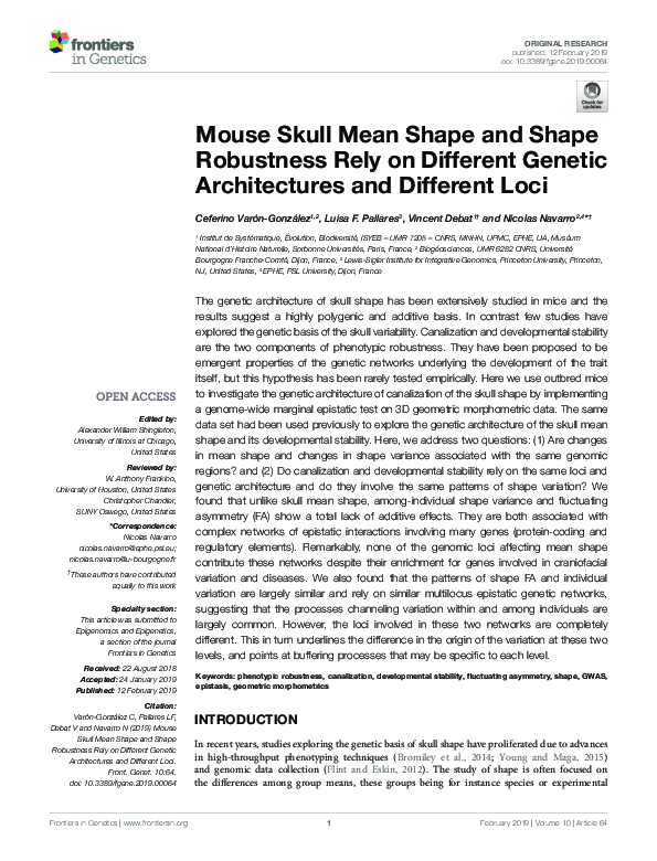 (PDF) Mouse Skull Mean Shape and Shape Robustness Rely on Different ...