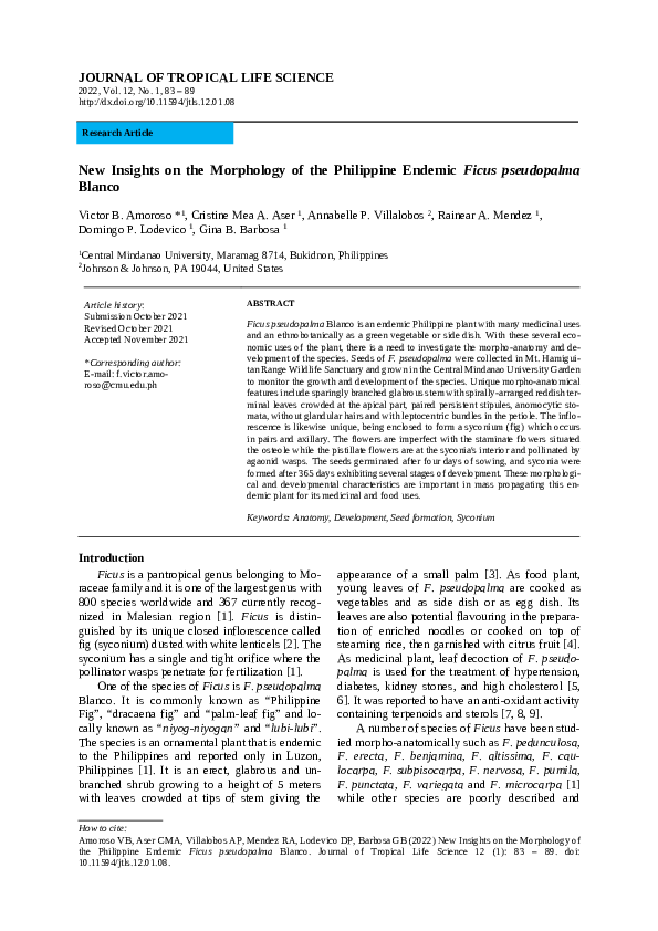 (PDF) New Insights on the Morphology of the Philippine Endemic Ficus pseudopalma Blanco