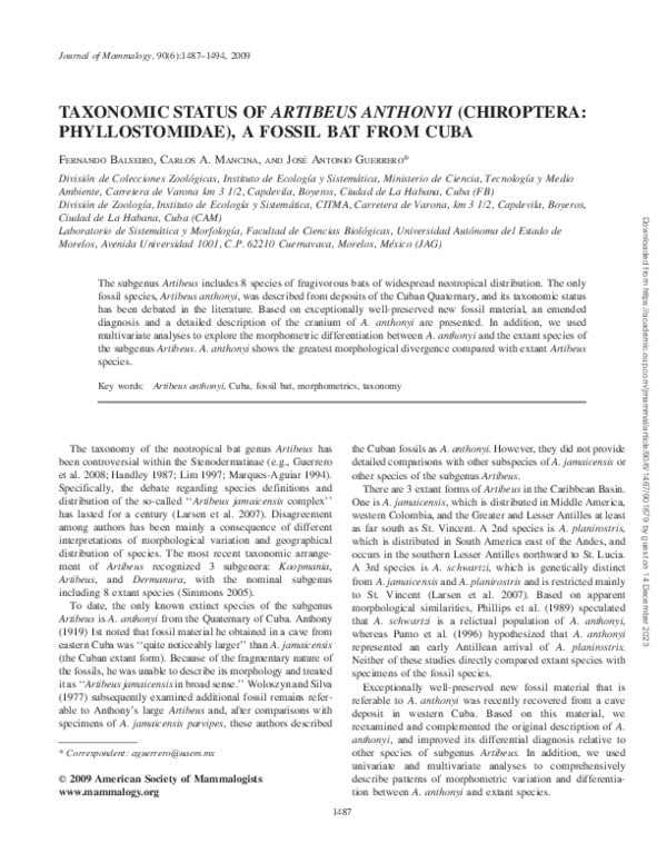 (PDF) Taxonomic Status of Artibeus anthonyi (Chiroptera: Phyllostomidae ...