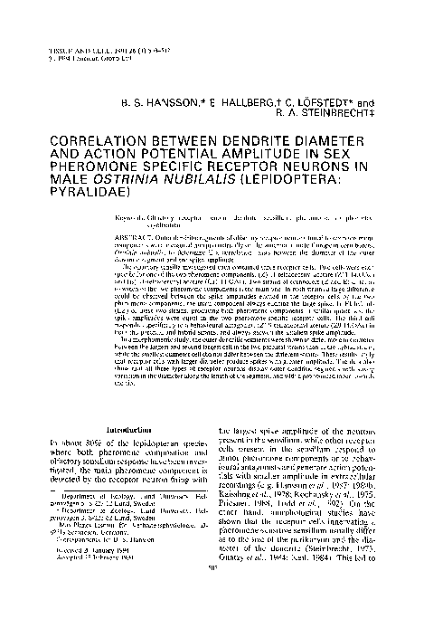 Pdf Correlation Between Dendrite Diameter And Action Potential