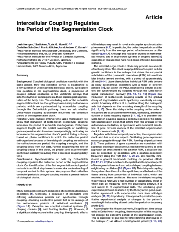 (PDF) Intercellular Coupling Regulates the Period of the Segmentation Clock