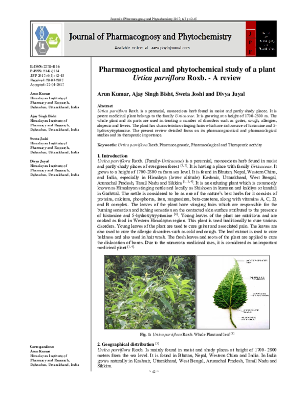 (PDF) Pharmacognostical and phytochemical study of a plant Urtica ...
