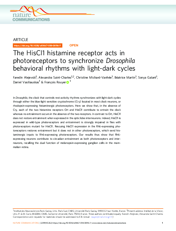 (PDF) The HisCl1 histamine receptor acts in photoreceptors to ...