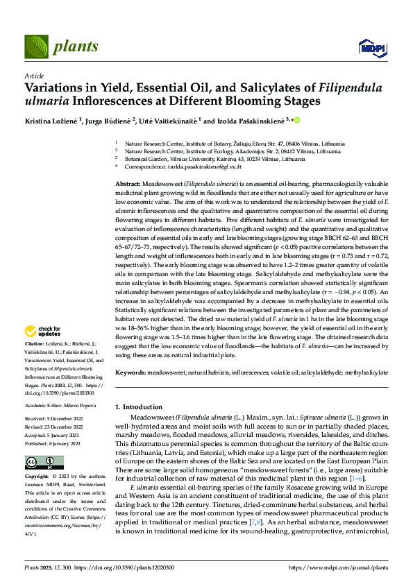 (PDF) Variations in Yield, Essential Oil, and Salicylates of ...