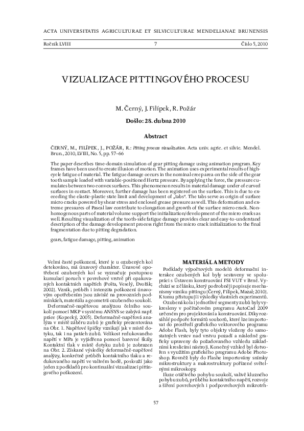 (PDF) Pitting process visualization
