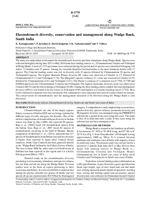 (PDF) Elasmobranch diversity, conservation and management along Wadge ...