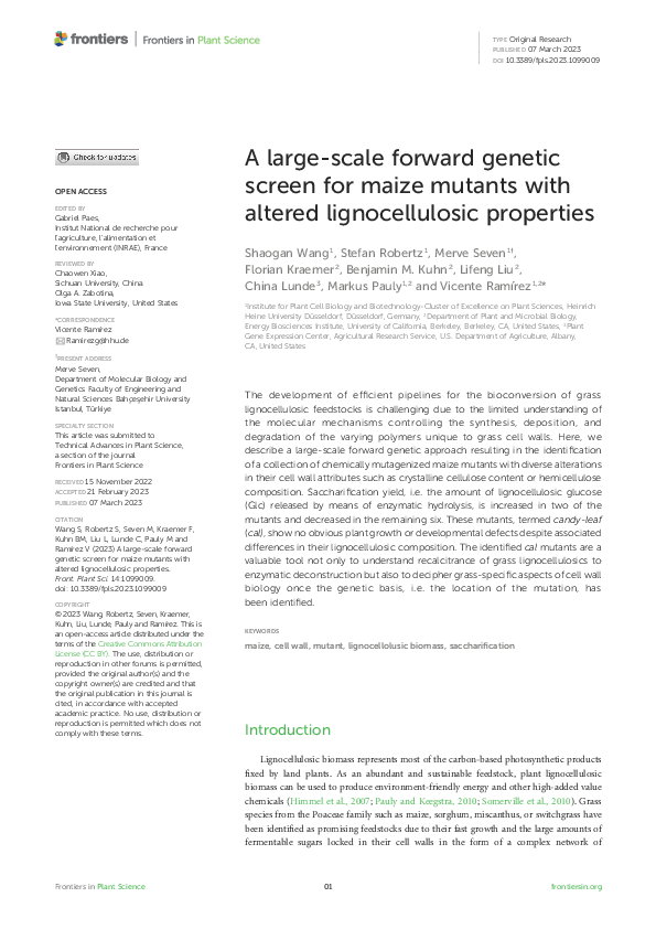 (PDF) A large-scale forward genetic screen for maize mutants with ...