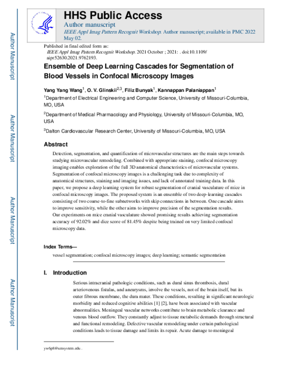 (PDF) Ensemble of Deep Learning Cascades for Segmentation of Blood ...