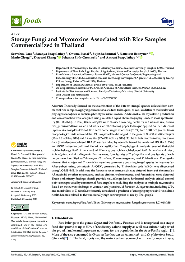 (PDF) Storage Fungi and Mycotoxins Associated with Rice Samples ...