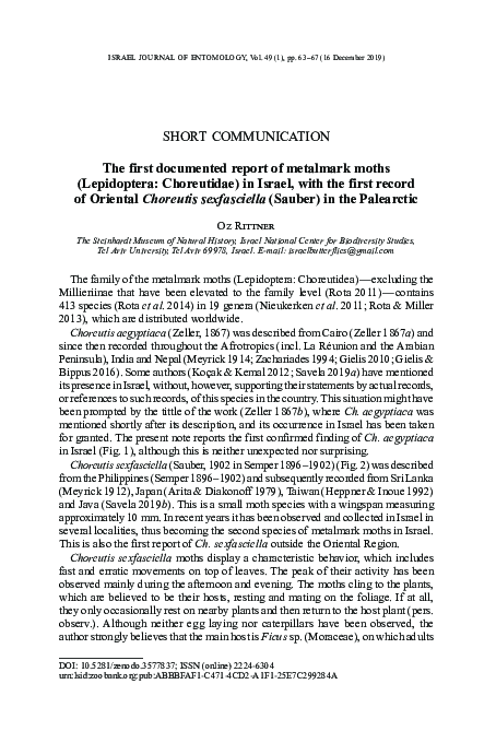 (PDF) The first documented report of metalmark moths (Lepidoptera ...