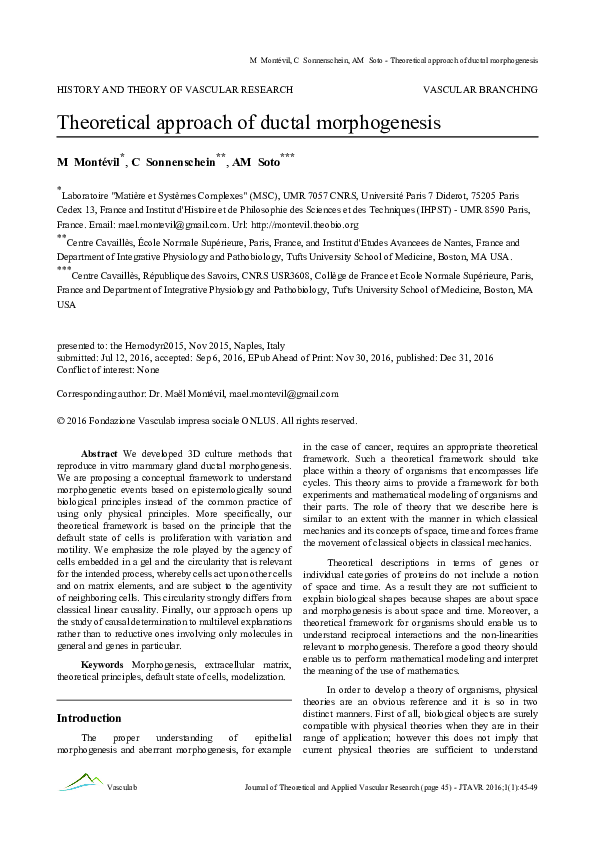 (PDF) Theoretical approach of ductal morphogenesis
