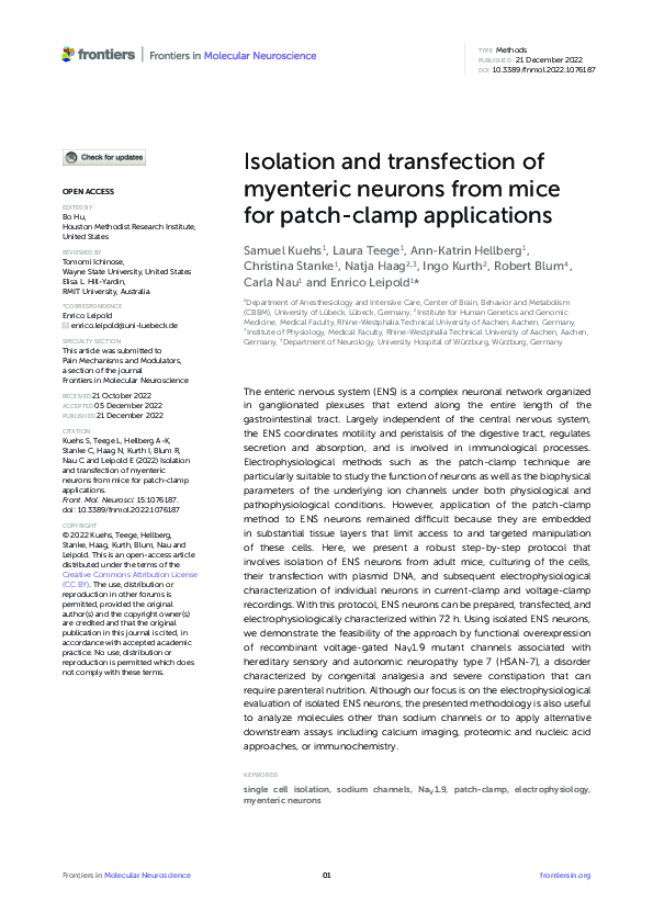 (PDF) Isolation and transfection of myenteric neurons from mice for ...