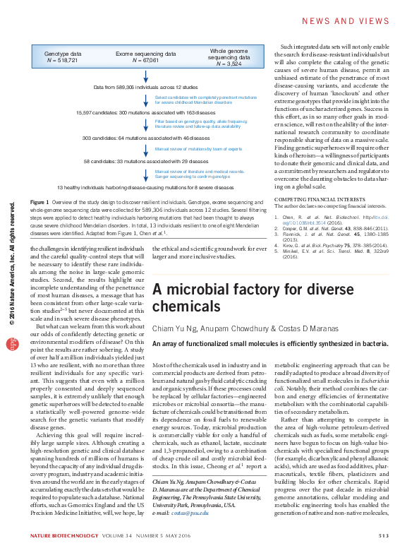 (PDF) A microbial factory for diverse chemicals