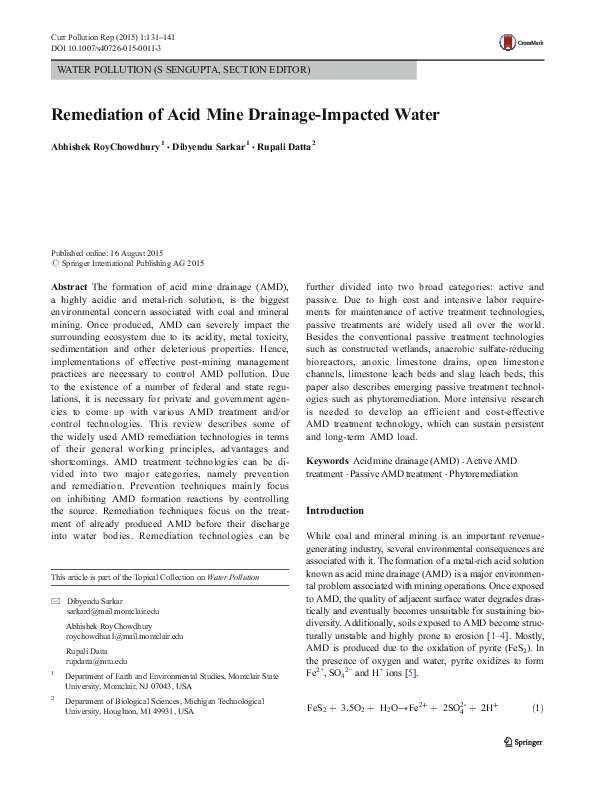 (PDF) Remediation of Acid Mine Drainage-Impacted Water