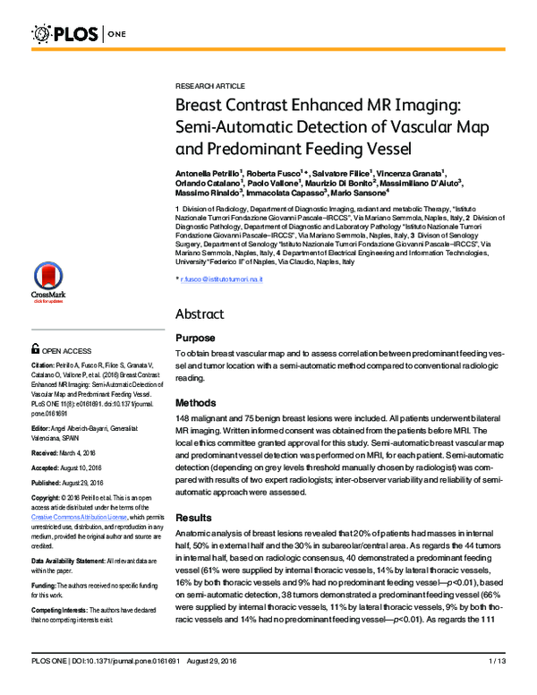 (PDF) Breast Contrast Enhanced MR Imaging: Semi-Automatic Detection of ...