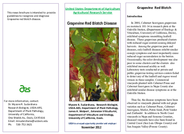 (PDF) Grapevine Red Blotch Disease