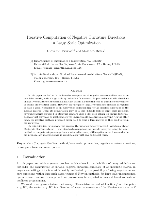 (PDF) Iterative computation of negative curvature directions in large scale optimization