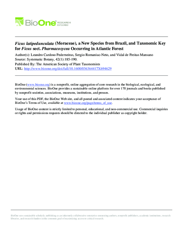 (PDF) Ficus latipedunculata (Moraceae), a New Species from Brazil, and ...