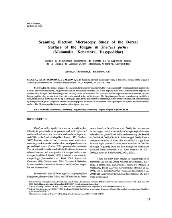 (PDF) SCANNING ELECTRON MICROSCOPY STUDY OF THE DORSAL SURFACE OF THE ...