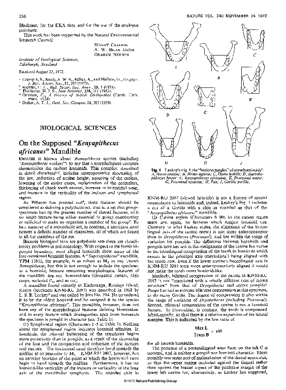 (PDF) On the Supposed “Kenyapithecus africanus” Mandible