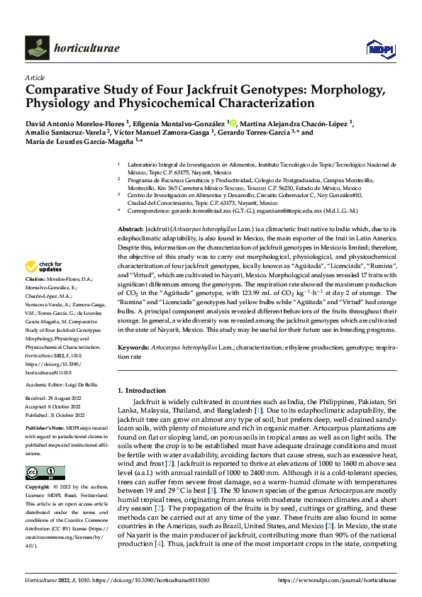 (PDF) Comparative Study of Four Jackfruit Genotypes: Morphology ...